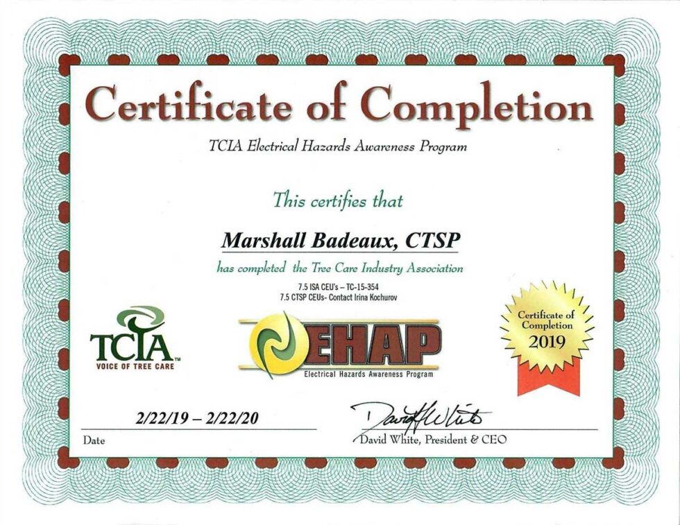 EXPERT STAFF - Charleston Tree Experts